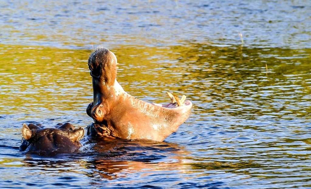 National Parks In Burkina Faso | Discover Burkina-Faso